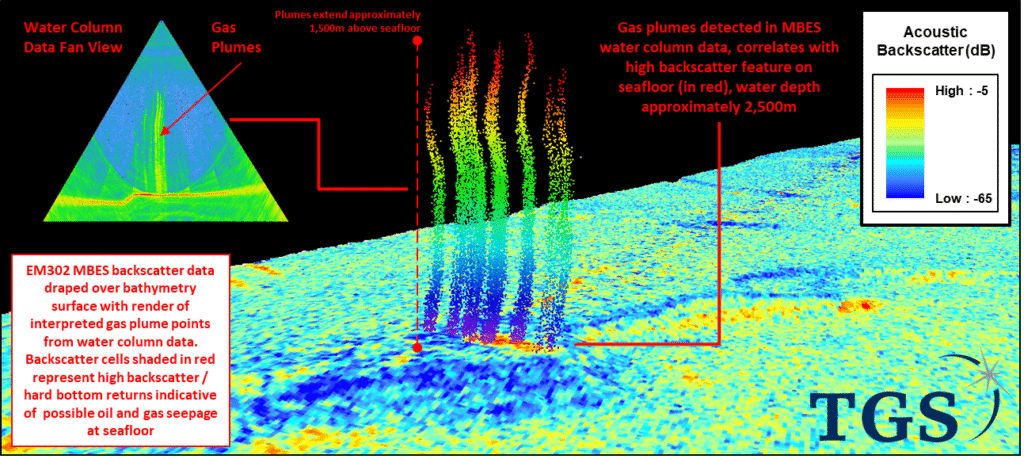 TDI-BROOKS COMPLETES MULTIBEAM PHASE FOR TGS OFFSHORE NIGERIA - TDI ...